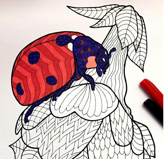 Zentangle Ladybug Coloring Page | AllFreePaperCrafts.com