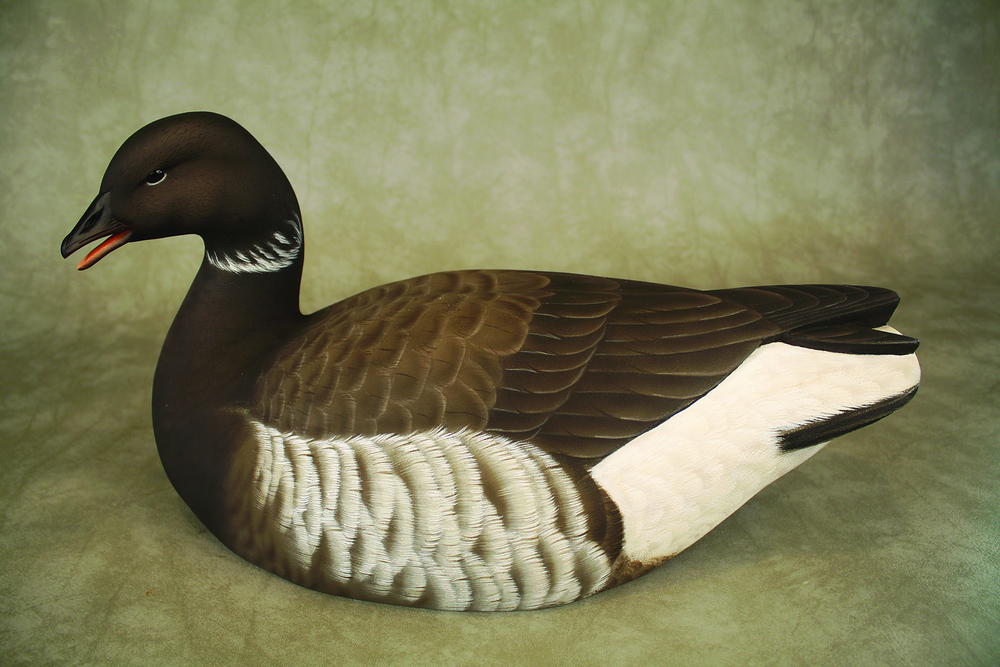 Pacific Brant, Part One | wildfowl-carving.com