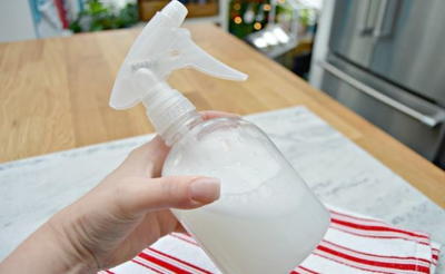 Peppermint Antibacterial DIY Cleaning Spray | DIYIdeaCenter.com