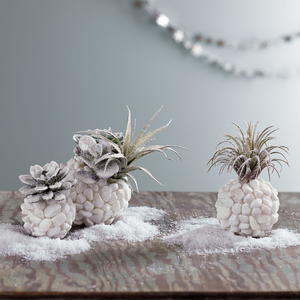 Frozen Succulent Planters | FaveCrafts.com