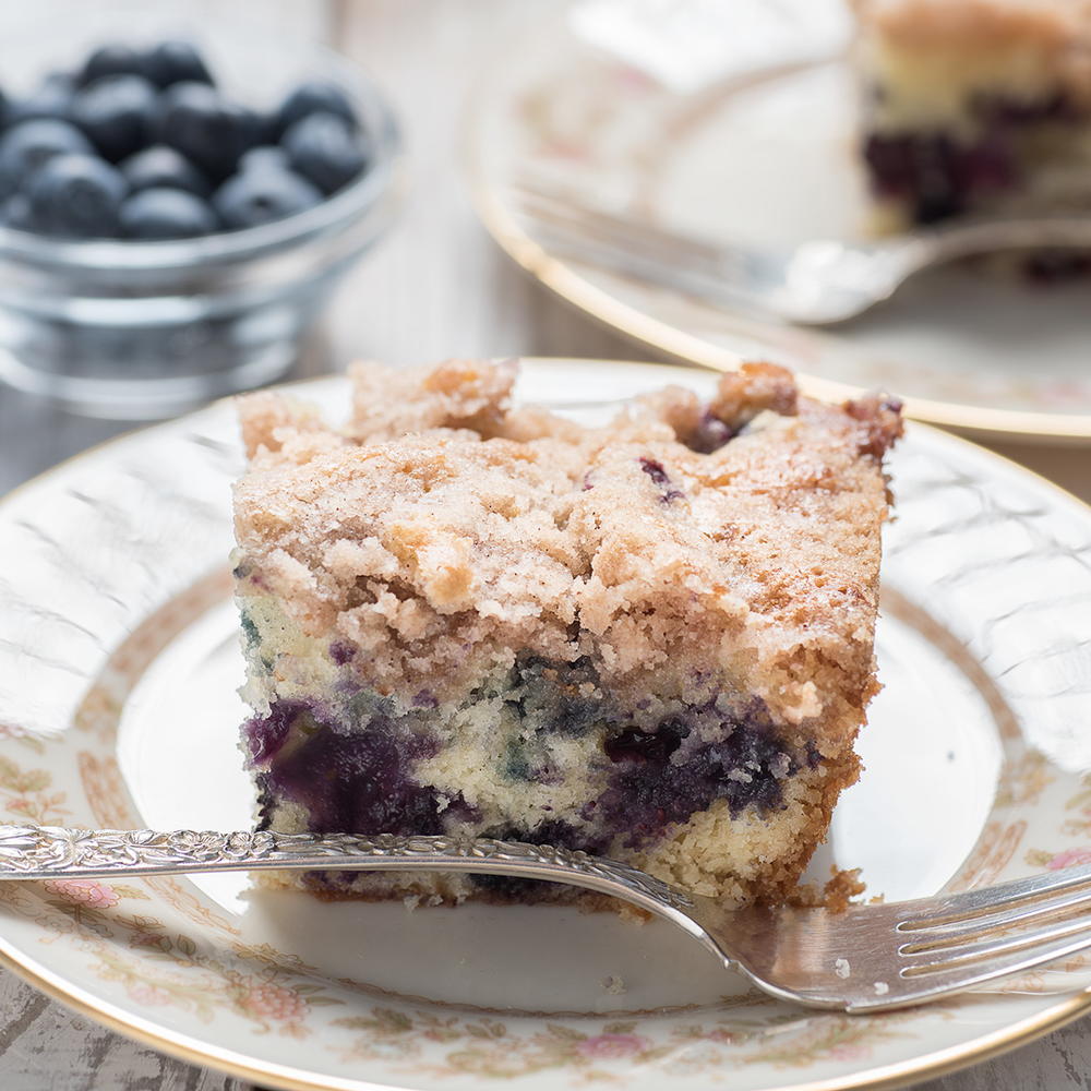 Blueberry Cake | TheBestDessertRecipes.com
