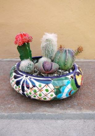 Dish Garden DIY Cactus Planter | DIYIdeaCenter.com