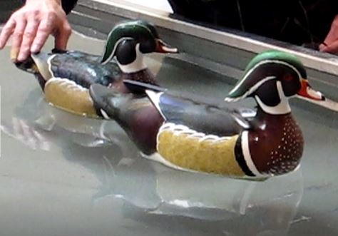 Judging Wood Ducks at ODCCA Part Two | wildfowl-carving.com