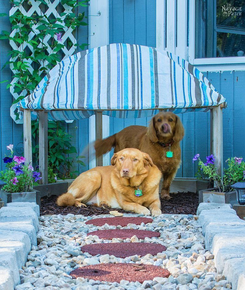 Papasan Dog Hut | DIYIdeaCenter.com