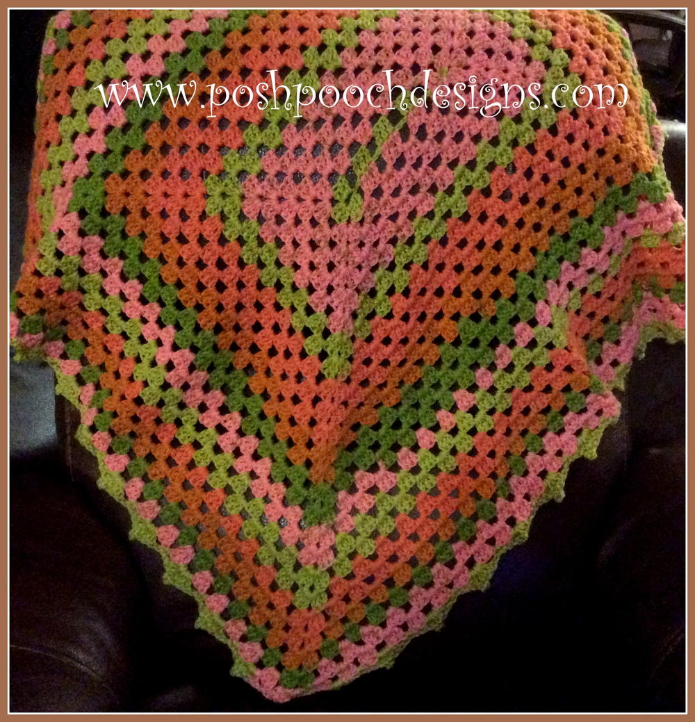Picot Granny Spring Throw | AllFreeCrochet.com