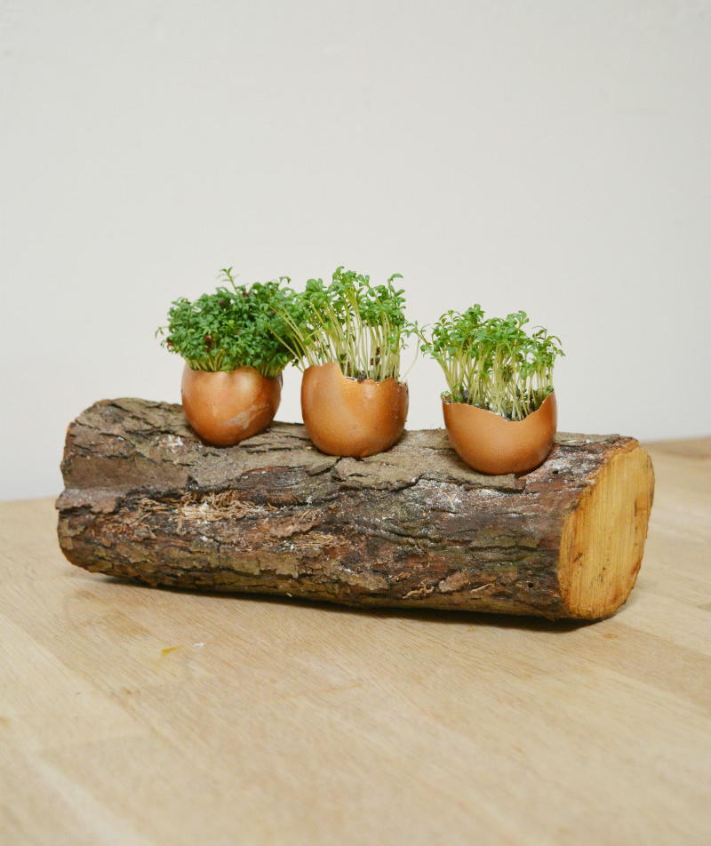 Egg Shell Table Decoration | DIYIdeaCenter.com