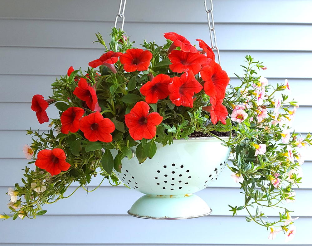 Country Cottage Colander Hanging Basket Planter | DIYIdeaCenter.com