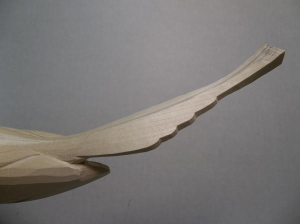 Carving the Black-billed Magpie | wildfowl-carving.com