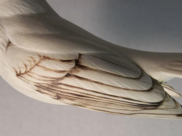 Carving the Black-billed Magpie | wildfowl-carving.com