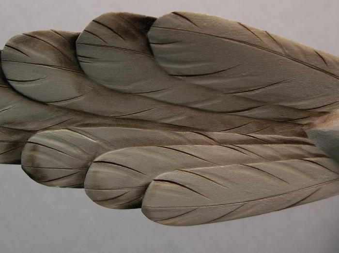 Carving the Black-billed Magpie | wildfowl-carving.com