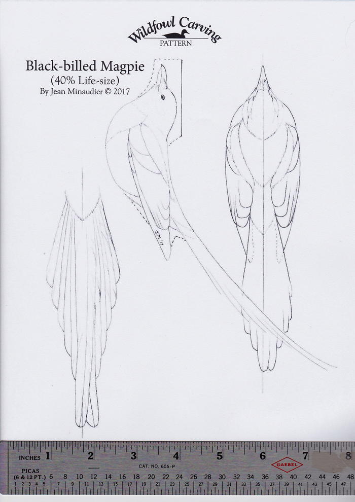 Carving the Black-billed Magpie | wildfowl-carving.com