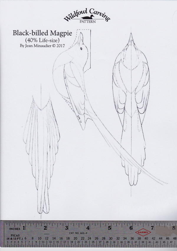 Carving the Black-billed Magpie | wildfowl-carving.com