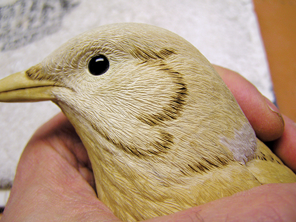 Carving the Scrub Jay: A Bird with Character | wildfowl-carving.com