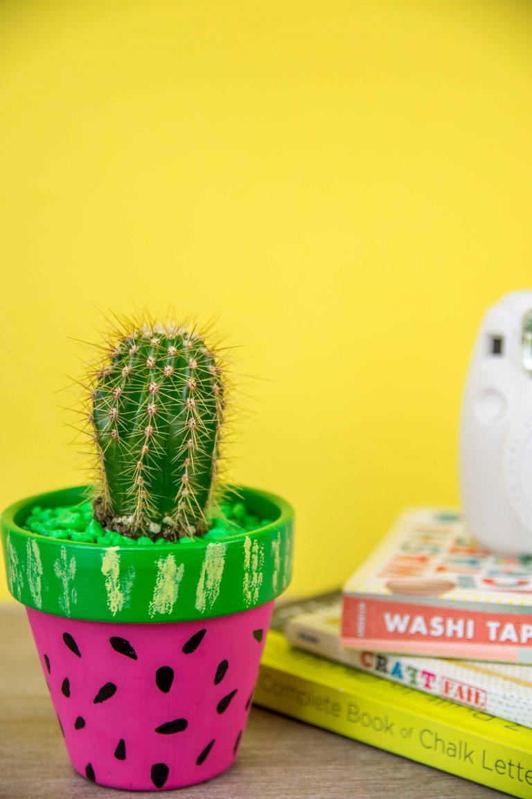 DIY Watermelon Planter | FaveCrafts.com