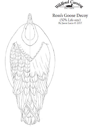 Carve a Ross's Goose Decoy, Part One | wildfowl-carving.com