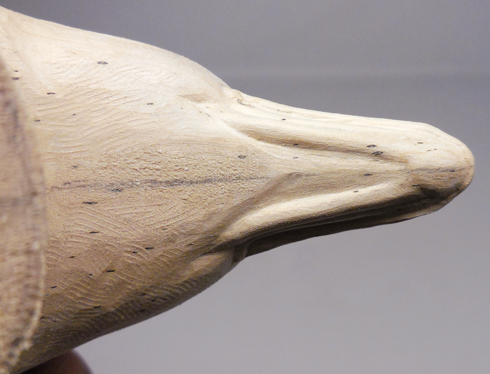Carve a Ross's Goose Decoy, Part One | wildfowl-carving.com