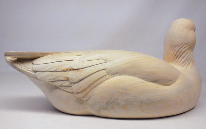 Carve a Ross's Goose Decoy, Part One | wildfowl-carving.com