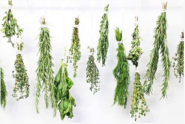 How to Start Your Own Herb Garden | DIYIdeaCenter.com