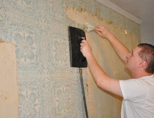 How to Clean Walls Like a Pro | DIYIdeaCenter.com