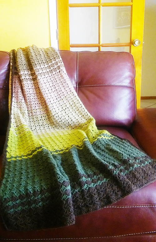 Crochet Afghan Fall Colors | AllFreeCrochet.com