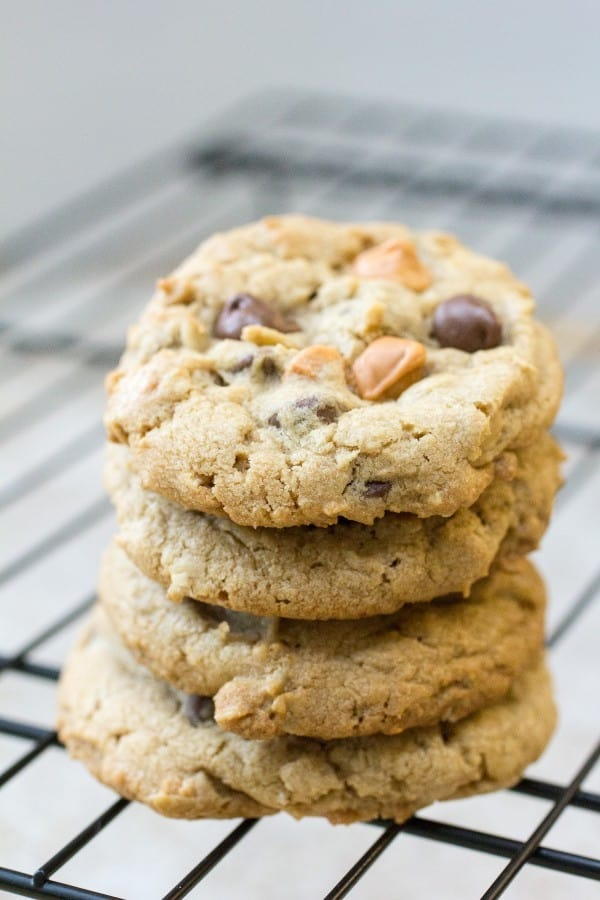 Everything Cookies | RecipeLion.com