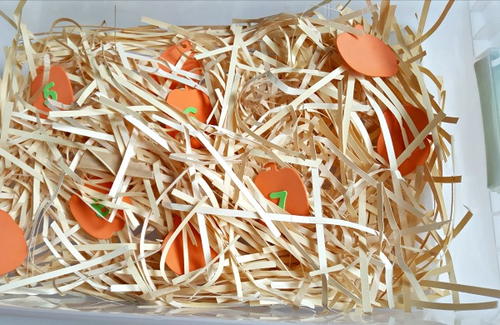 Pumpkin Harvest Sensory Bin Preschool Activity | AllFreeKidsCrafts.com