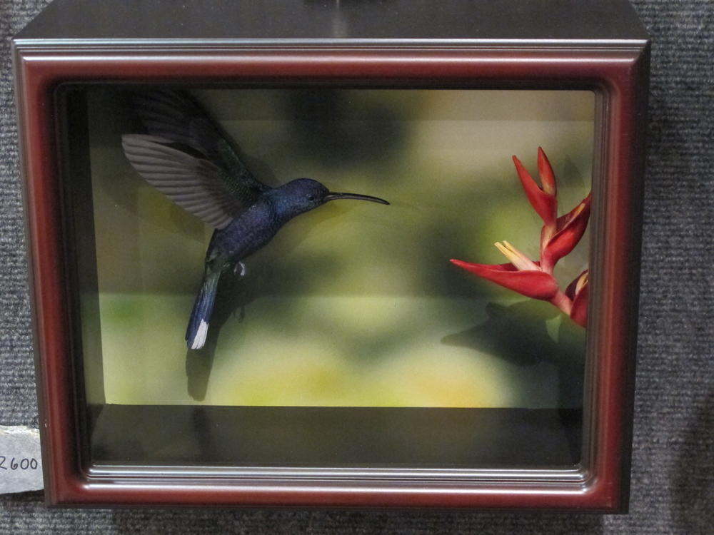 Tom Horn's Impressive Shadow Boxes | wildfowl-carving.com