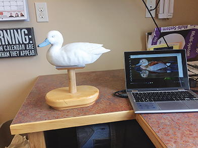 A Ringed Teal Drake Part Two: Painting | wildfowl-carving.com