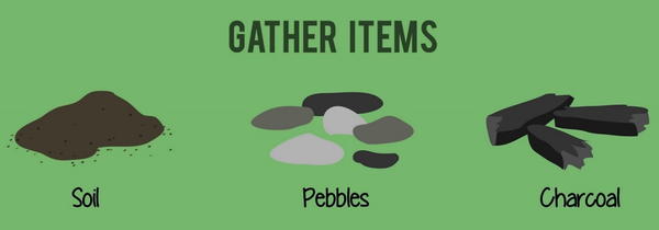 DIY Succulent Terrarium Ideas Infographic | FaveCrafts.com