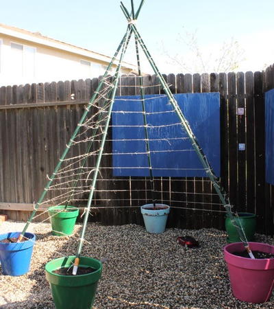 DIY Bean Teepee Frame | DIYIdeaCenter.com