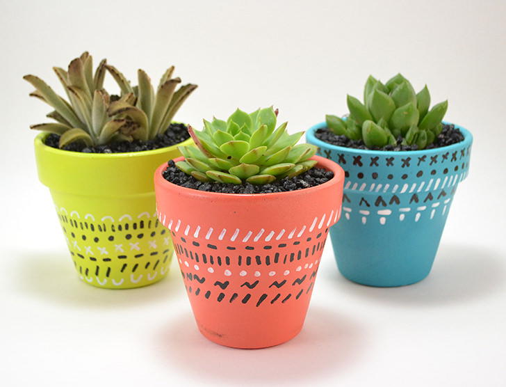 Colorful Succulent Pots | DIYIdeaCenter.com