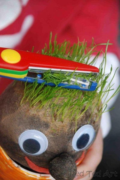 DIY Grass Heads for Kids | DIYIdeaCenter.com