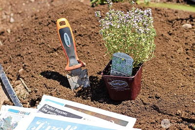 Newspaper "Lasagna" Weed Control Tutorial | DIYIdeaCenter.com