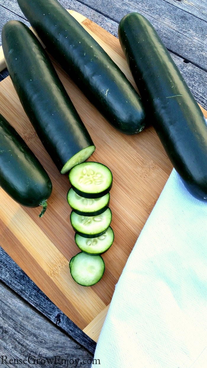 How to Grow Cucumbers Tutorial | DIYIdeaCenter.com