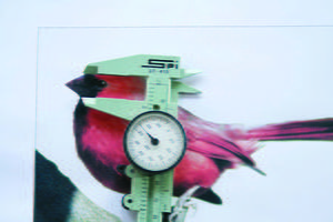 A Sense of Scale | wildfowl-carving.com