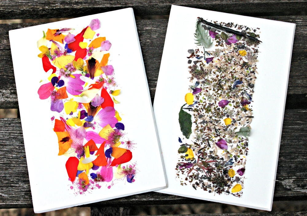 Sticky Nature Cards | AllFreeKidsCrafts.com