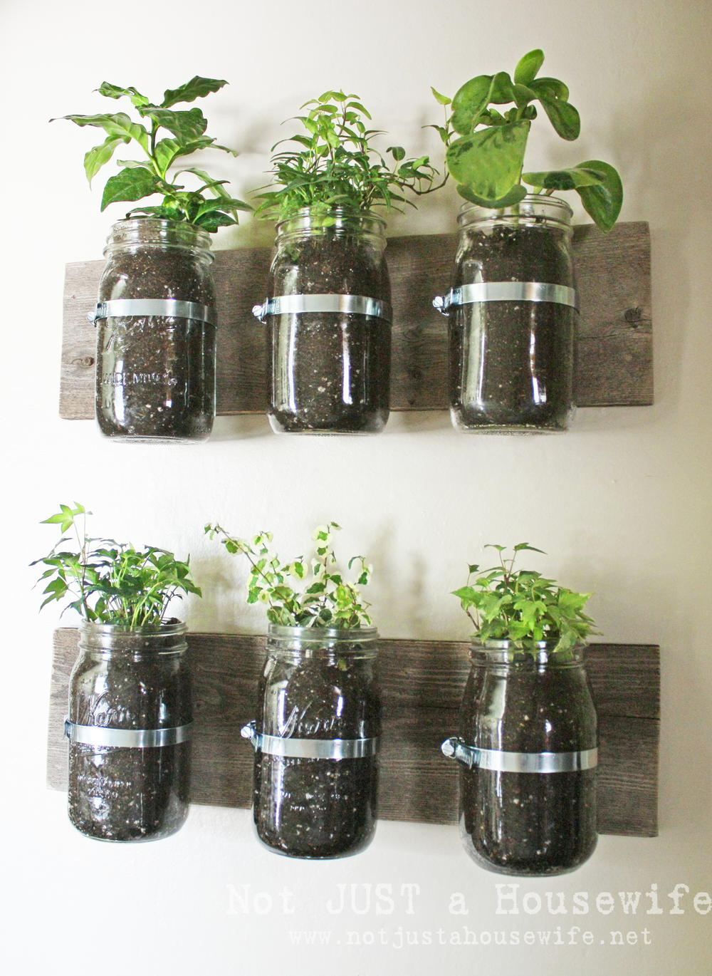 Mason Jar Wall Planter | DIYIdeaCenter.com