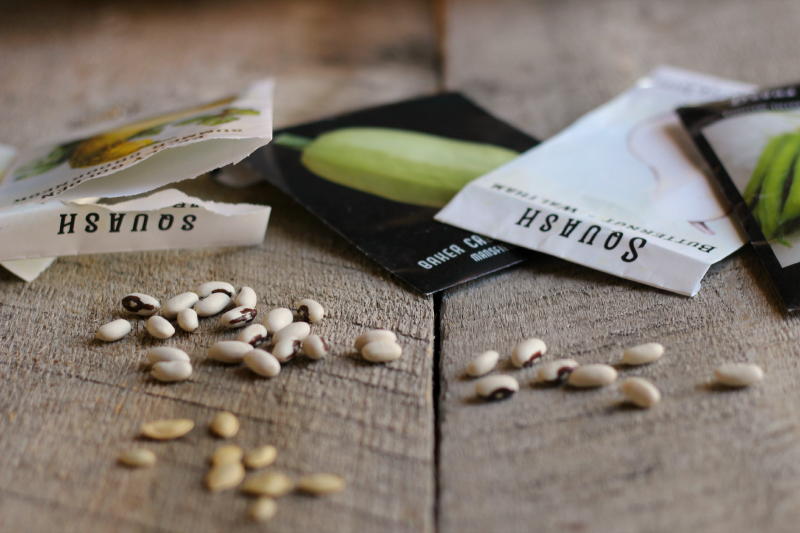 How To Test Seeds For Viability