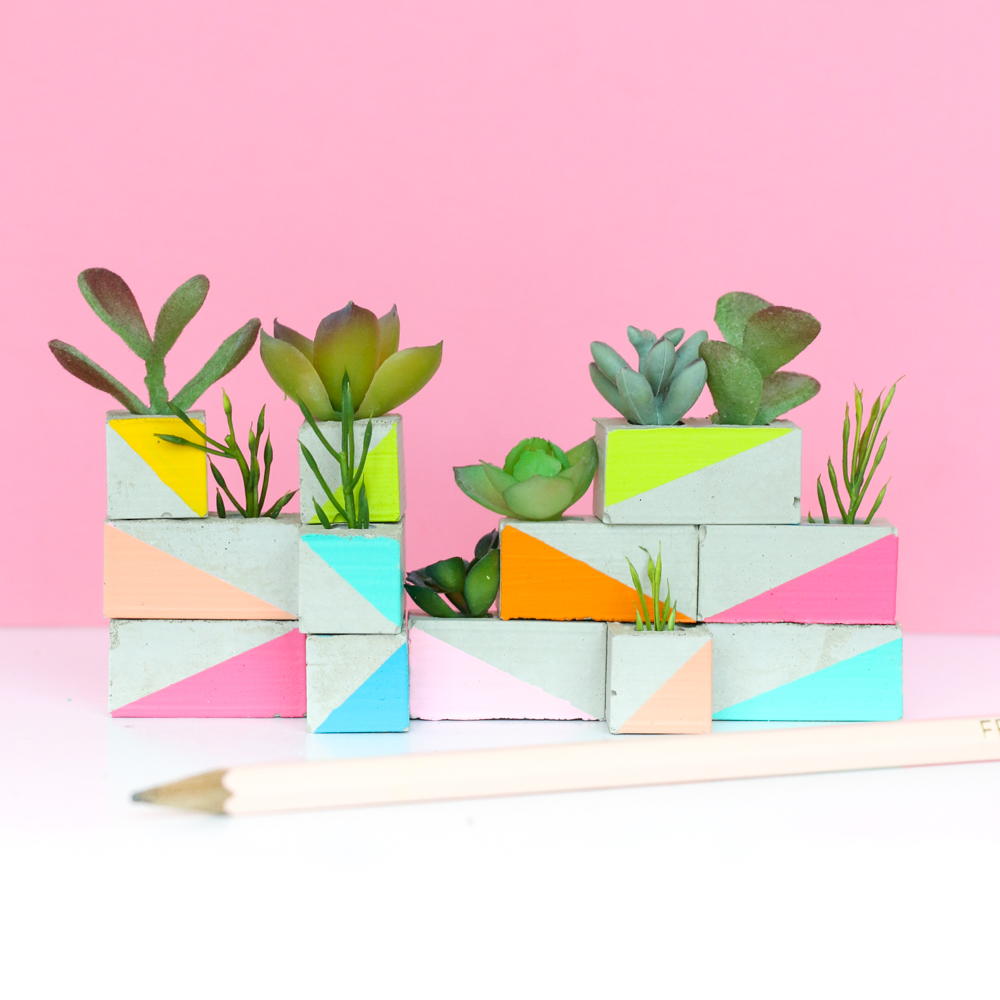 Mini Succulent Garden for Your Desk | DIYIdeaCenter.com