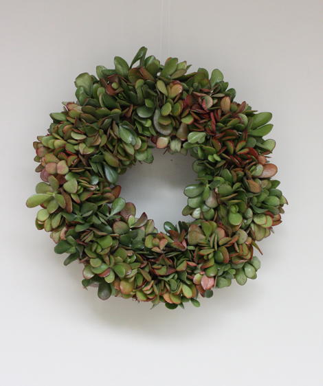 Jade Plant Succulent Wreath | DIYIdeaCenter.com