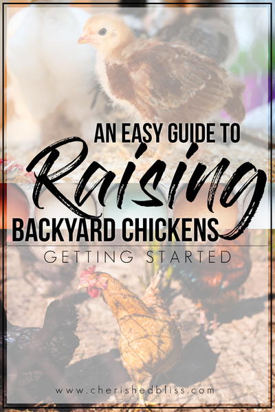 Raising Backyard Chickens Getting Started Diyideacenter