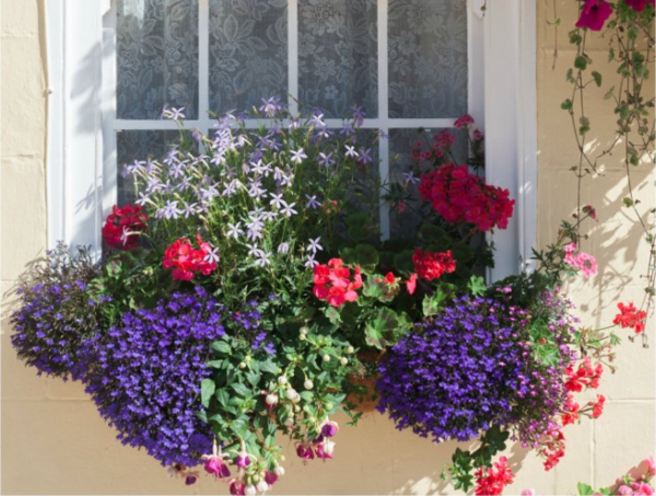 DIY Flower Window Box | DIYIdeaCenter.com