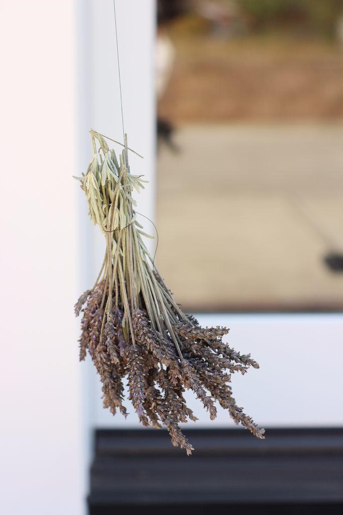 Drying Lavender Tutorial | CheapThriftyLiving.com