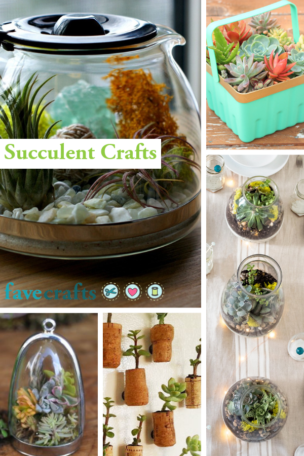 33 Succulent Crafts: Pretty Planters, Terrariums, and More | FaveCrafts.com