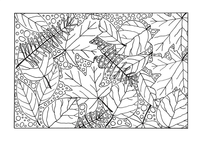 Medley of Fall Leaves Adult Coloring Page | FaveCrafts.com