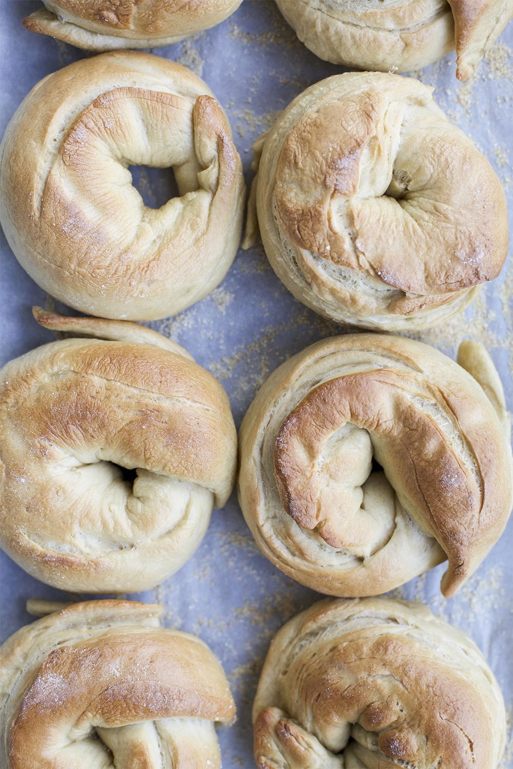 Homemade Deli Bagels | AllFreeCopycatRecipes.com