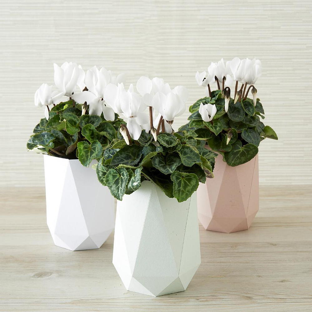 Minimal Vase | AllFreePaperCrafts.com