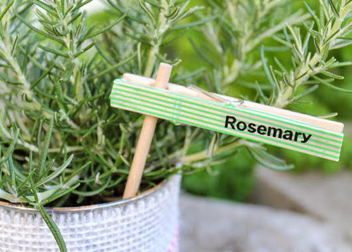 How to Start Your Own Herb Garden | DIYIdeaCenter.com