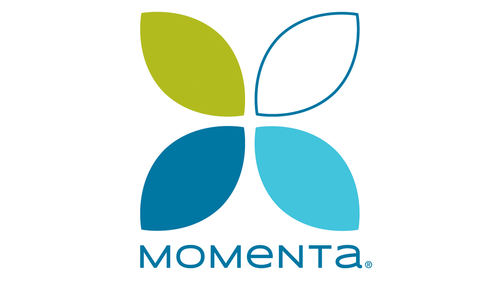 Momenta | FaveCrafts.com