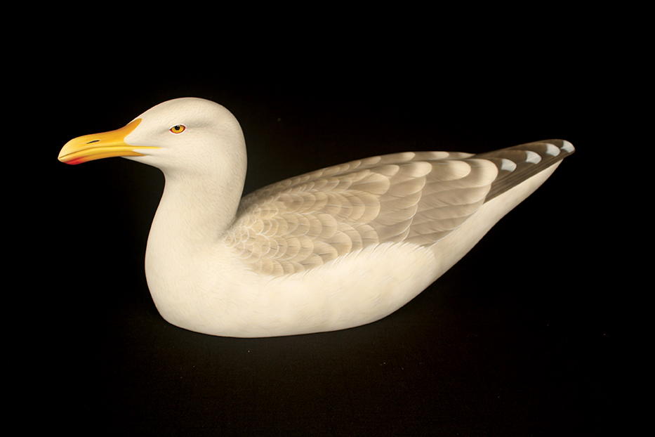 Just a Gull | wildfowl-carving.com